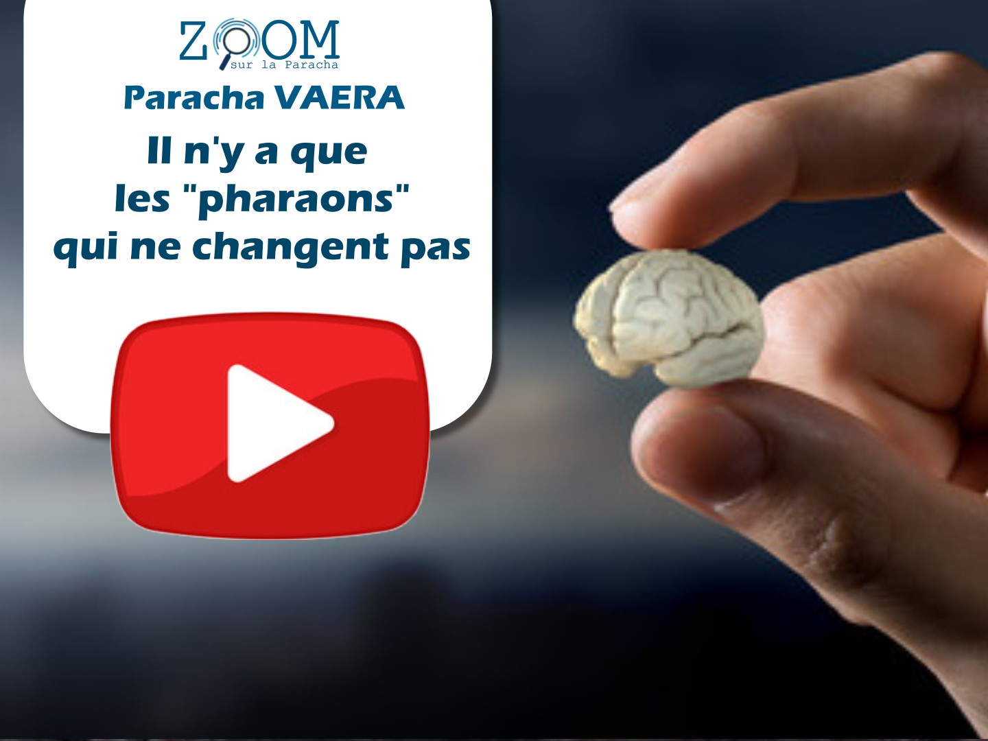 VAERA: Il n’y a que les “Pharaons” qui ne changent pas