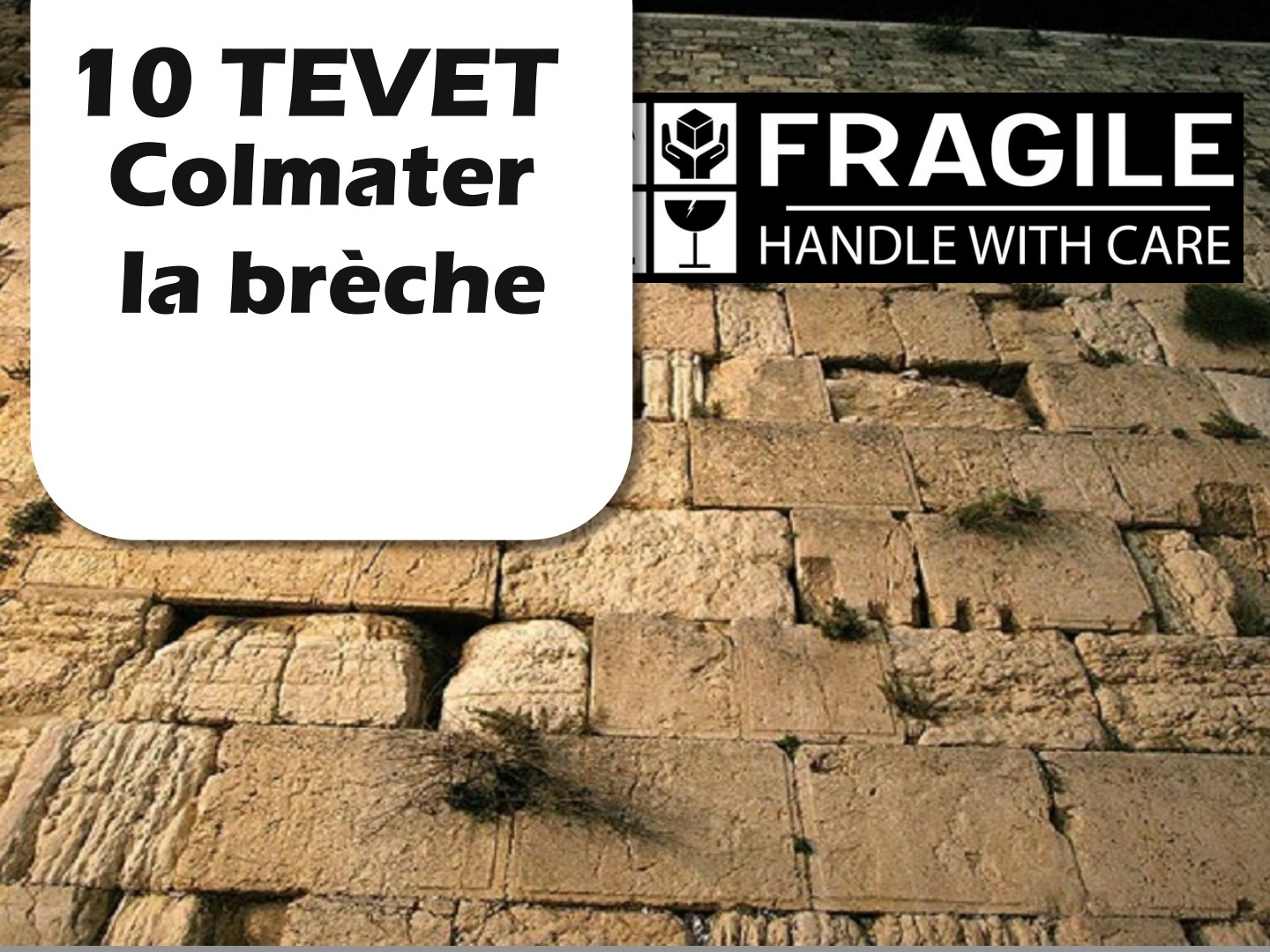 10 TEVET: Colmater la brèche